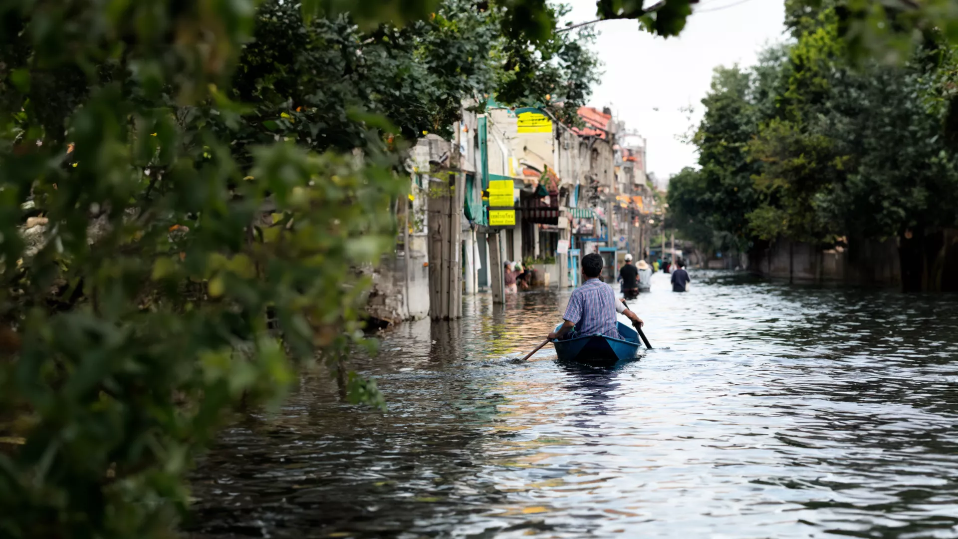 Regional climate change impacts
